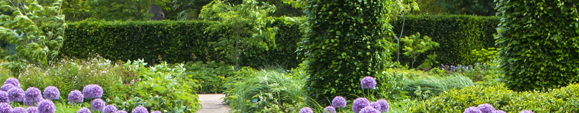 Hagen | Tuinplantenwinkel.nl